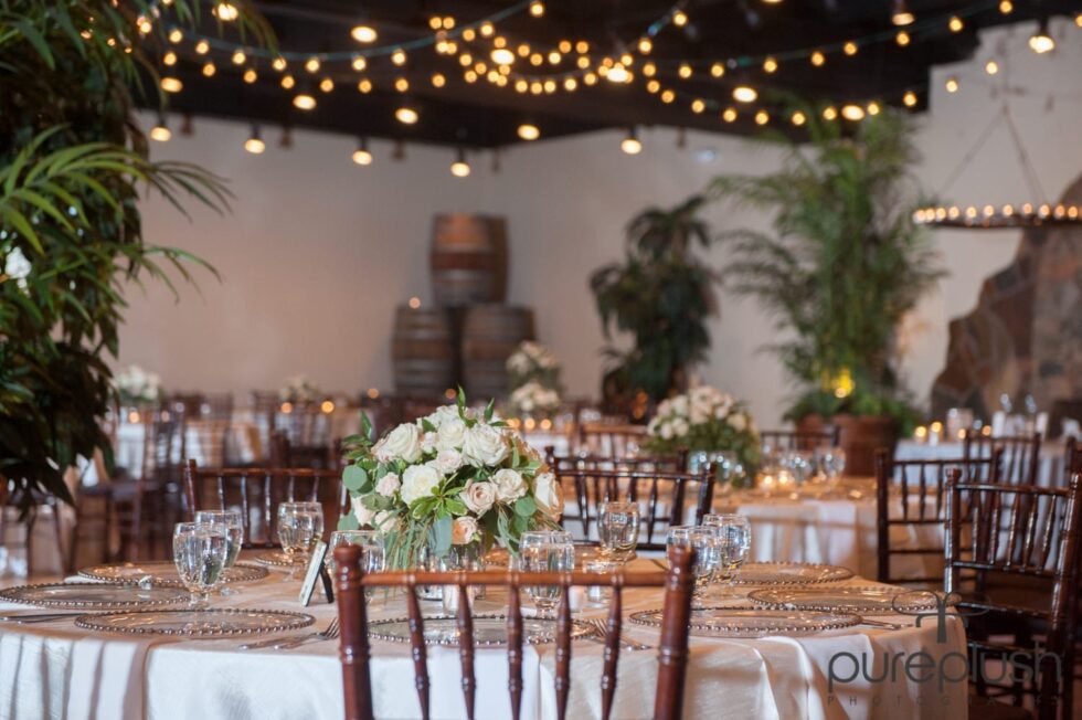 Agave 101 - Guide to Event Planning