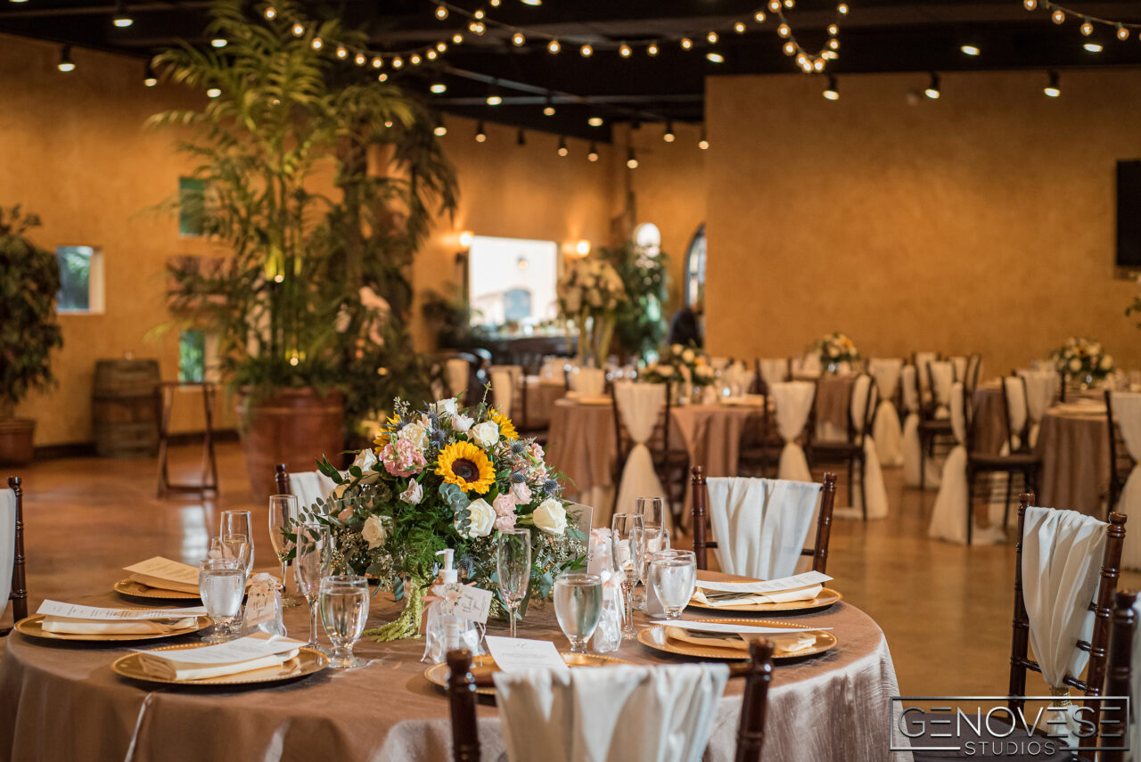Gallery - Agave Estates Event Venue - Weddings - Quinceaneras